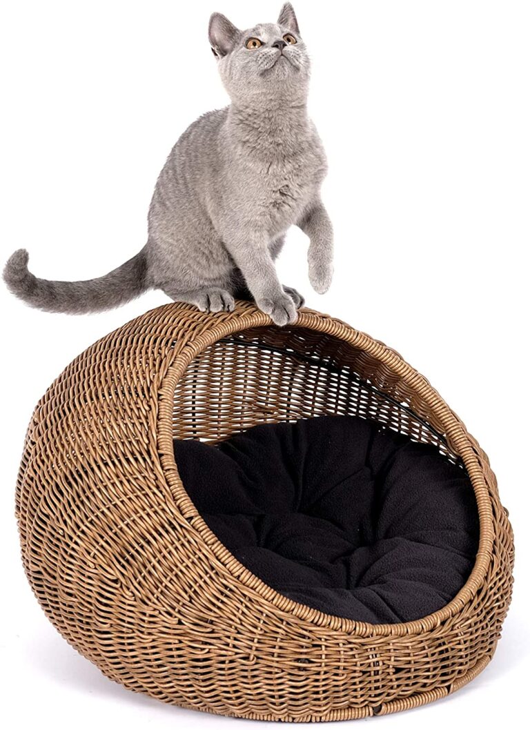 Wicker Cat Bed for Cats - Modern Cat Hideout Rattan House Hut with ...